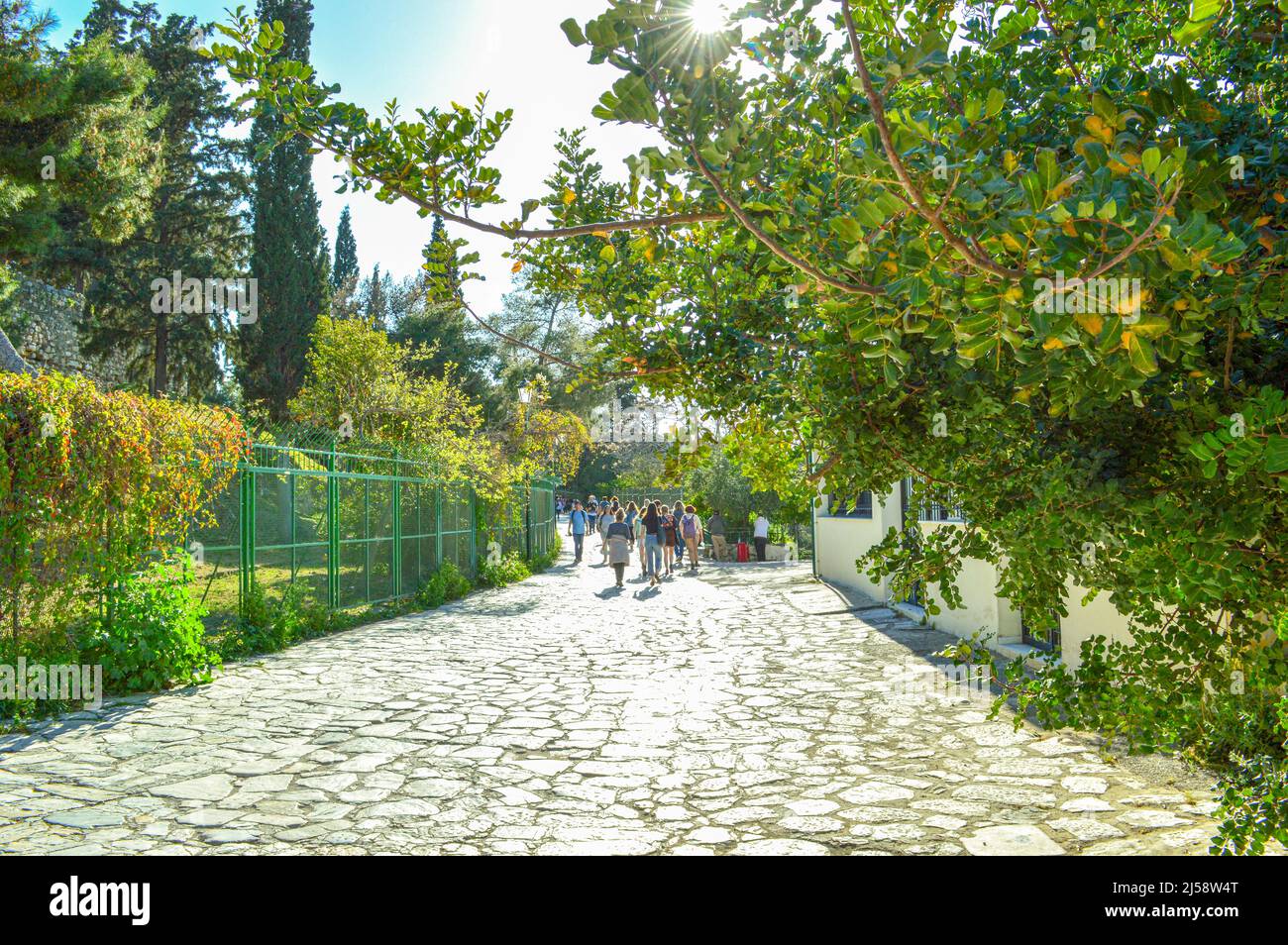 Athens spring trees greece hi-res stock photography and images - Alamy