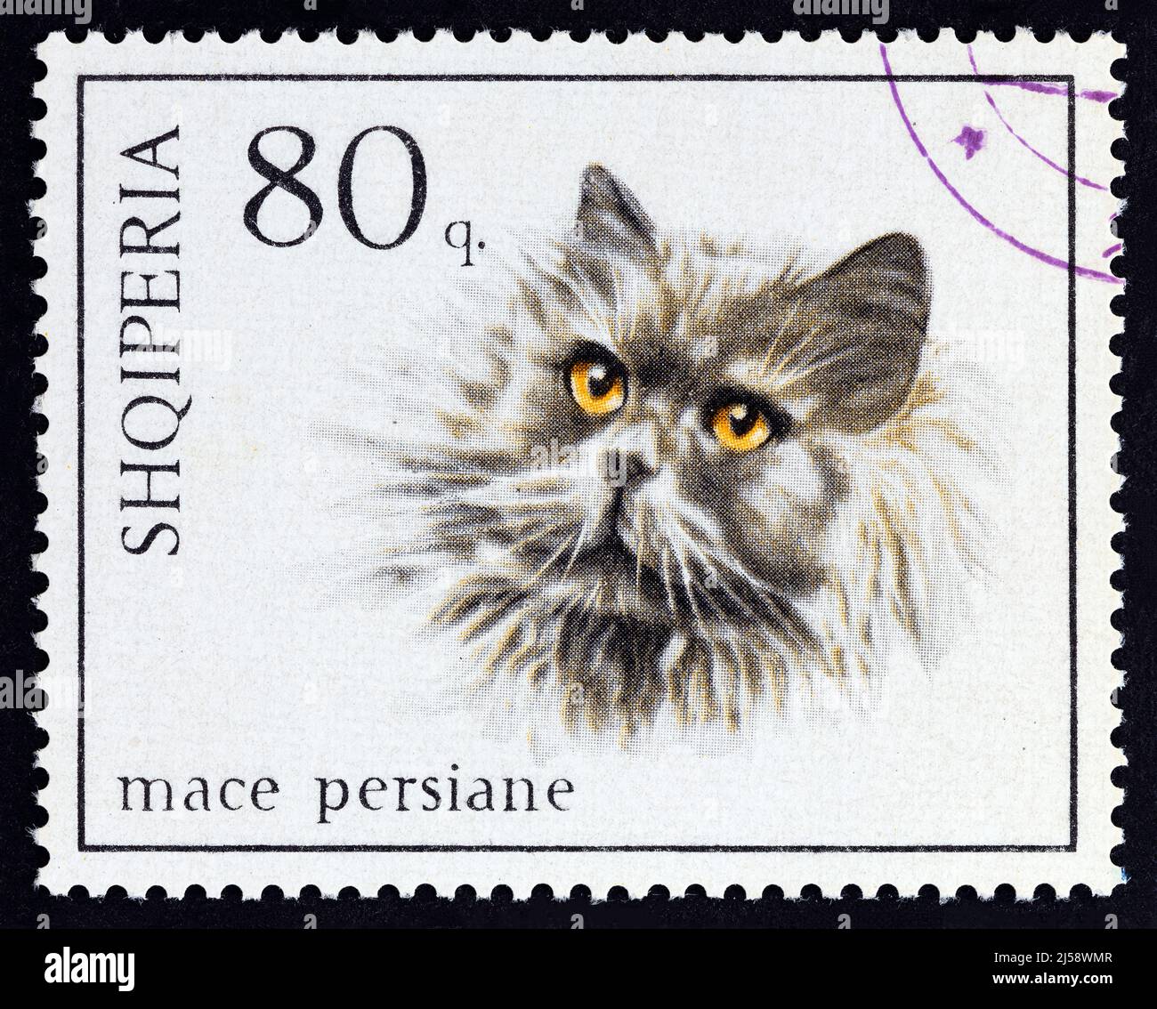 ALBANIA - CIRCA 1966: A stamp printed in Albania from the "Cats" issue ...