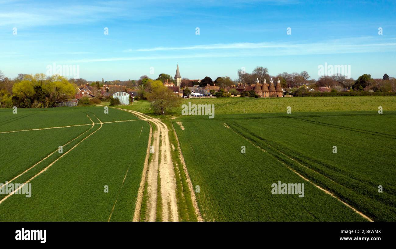 Duke william ickham hi-res stock photography and images - Alamy