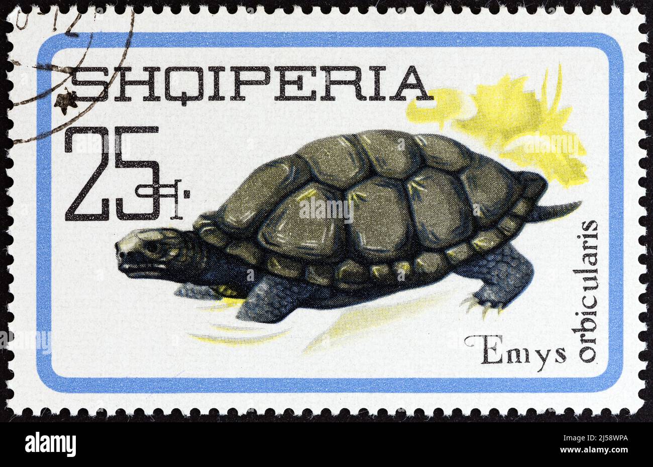 ALBANIA - CIRCA 1966: A stamp printed in Albania from the "Reptiles ...