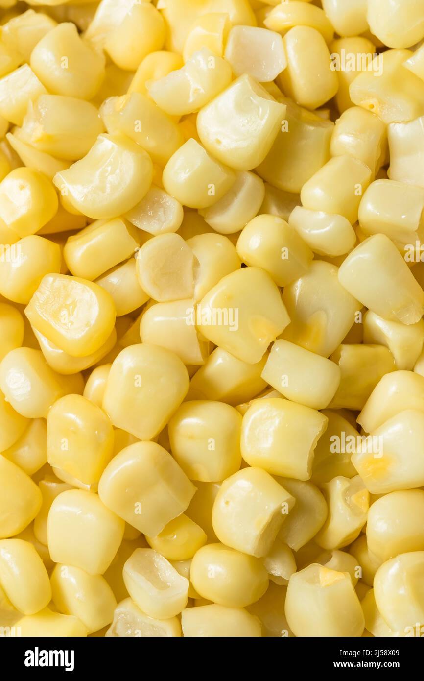 Organic Steamed White Sweetcorn Kernals in a Bowl Stock Photo - Alamy