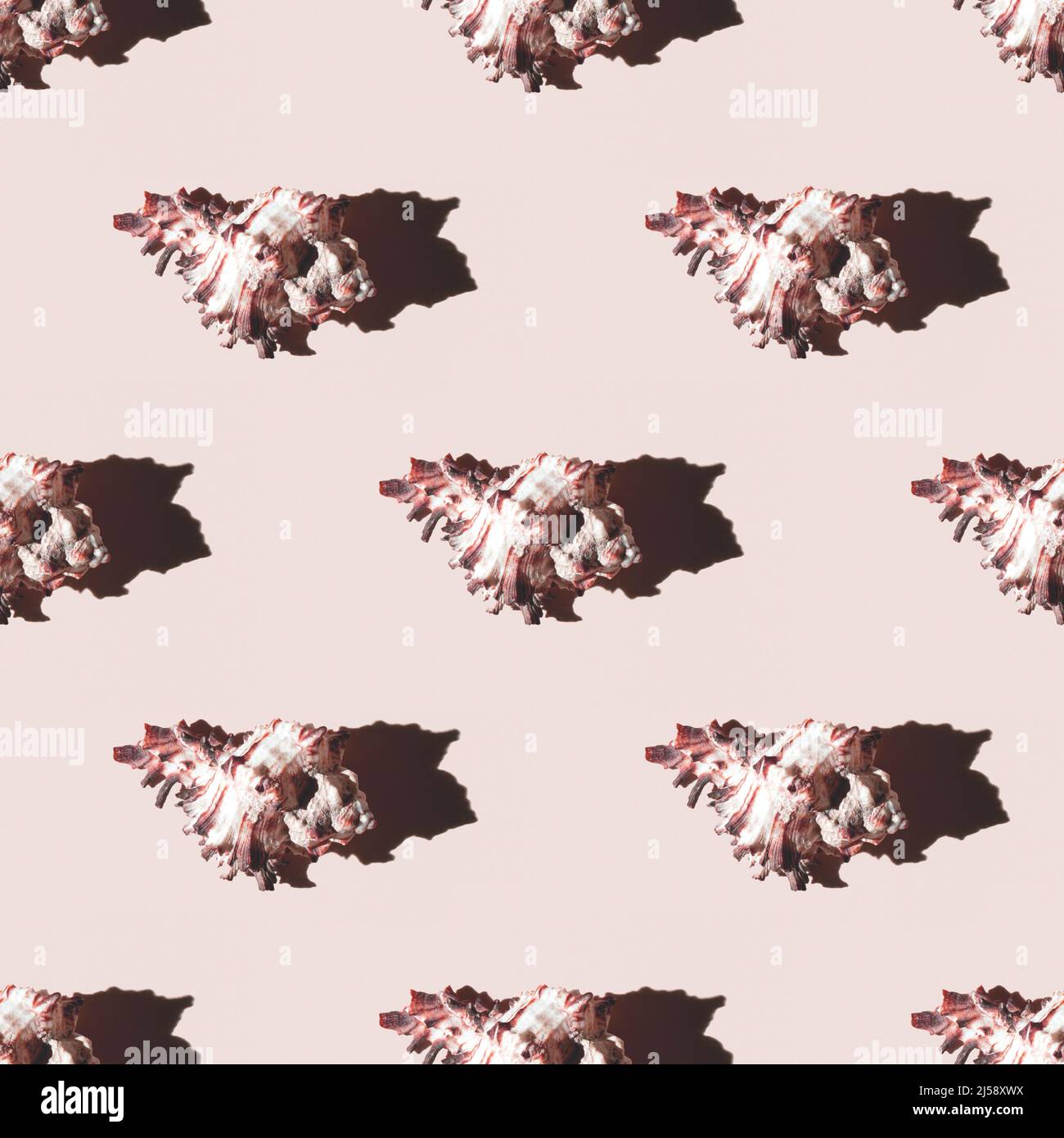 Seamless pattern of clam shells on a pastel yellow background ...