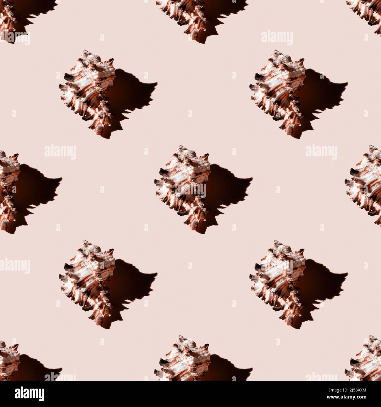Seamless pattern of clam shells on a pastel yellow background ...