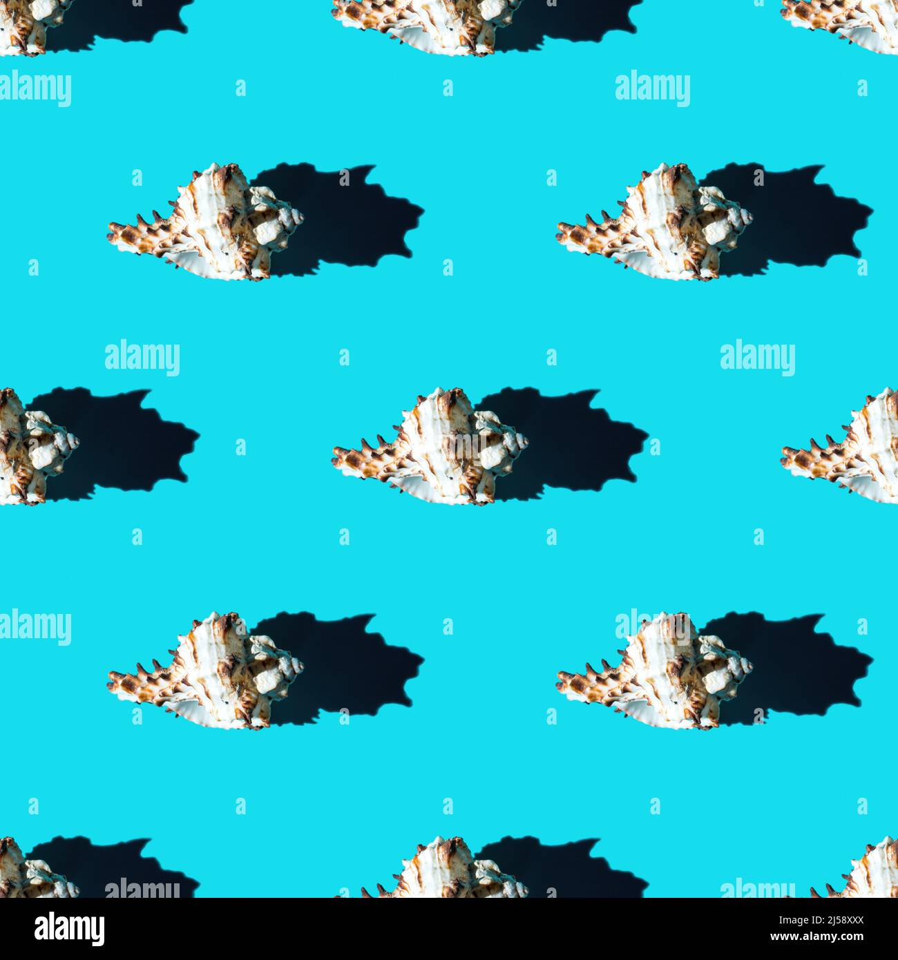 Seamless pattern of clam shells on a cyan background. Summertime ...