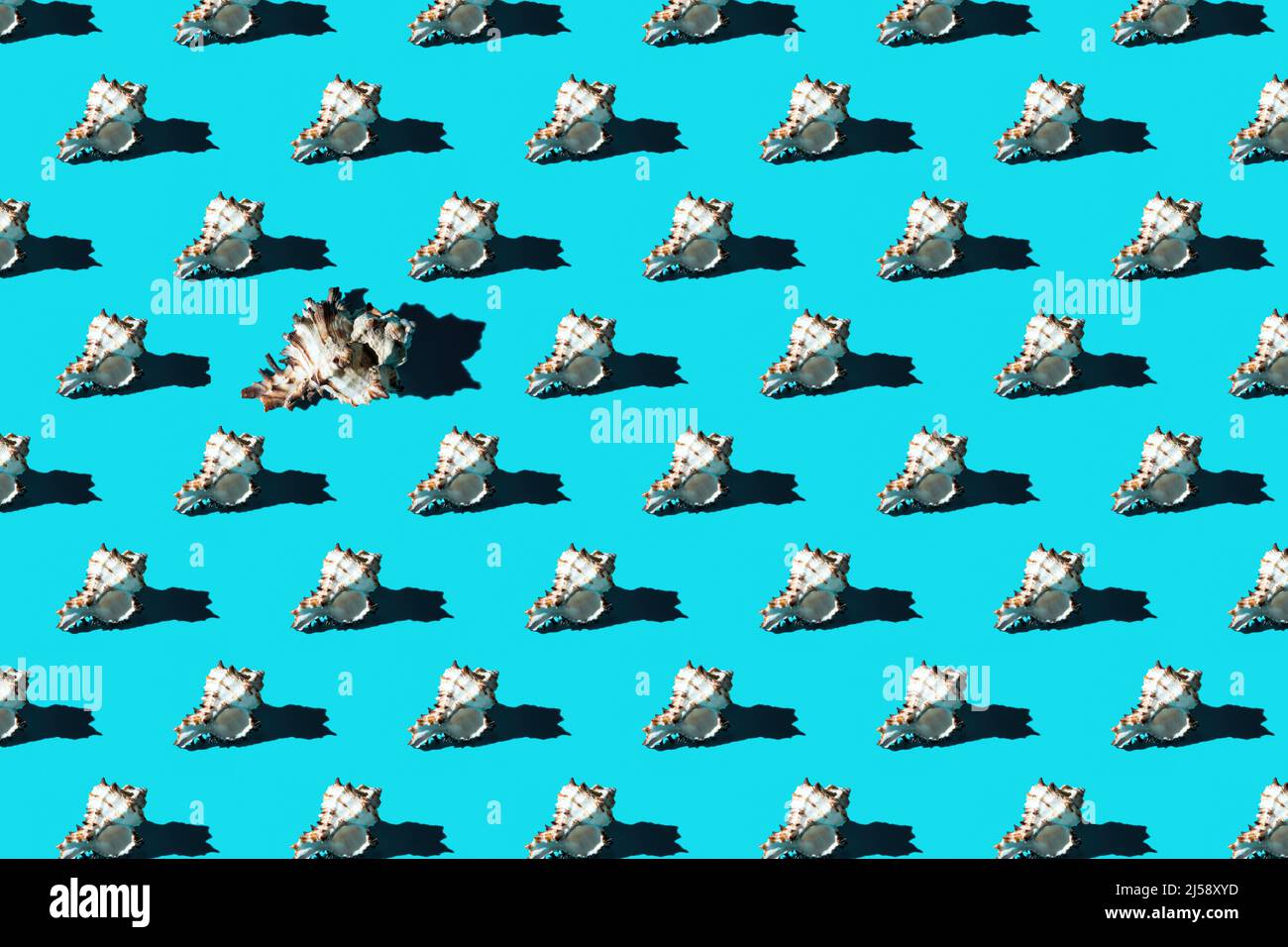 Pattern of clam shells on a cyan background. Summertime concept Stock ...