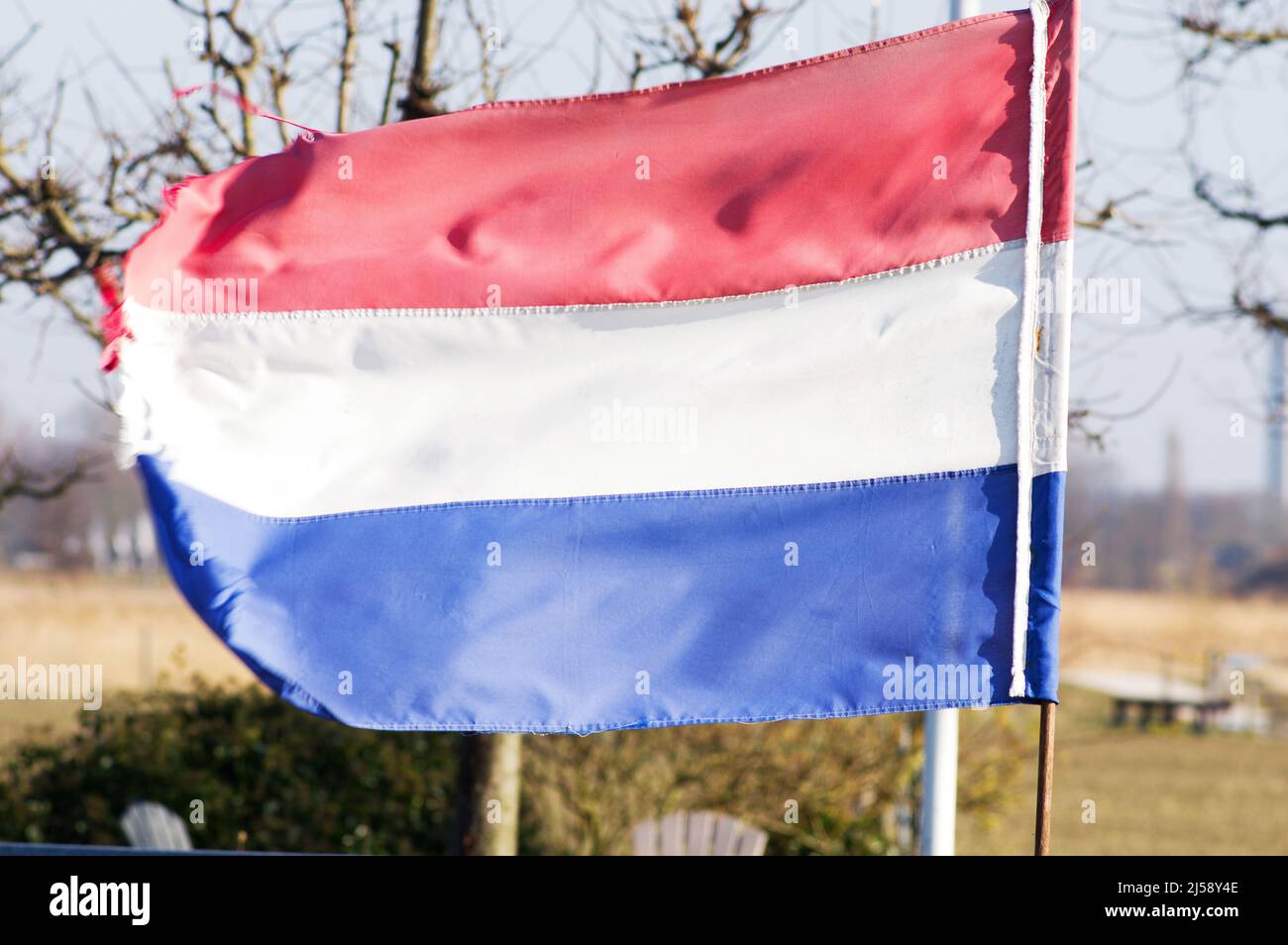 Dutch flag waving in the wind in the Netherlands Stock Photo - Alamy
