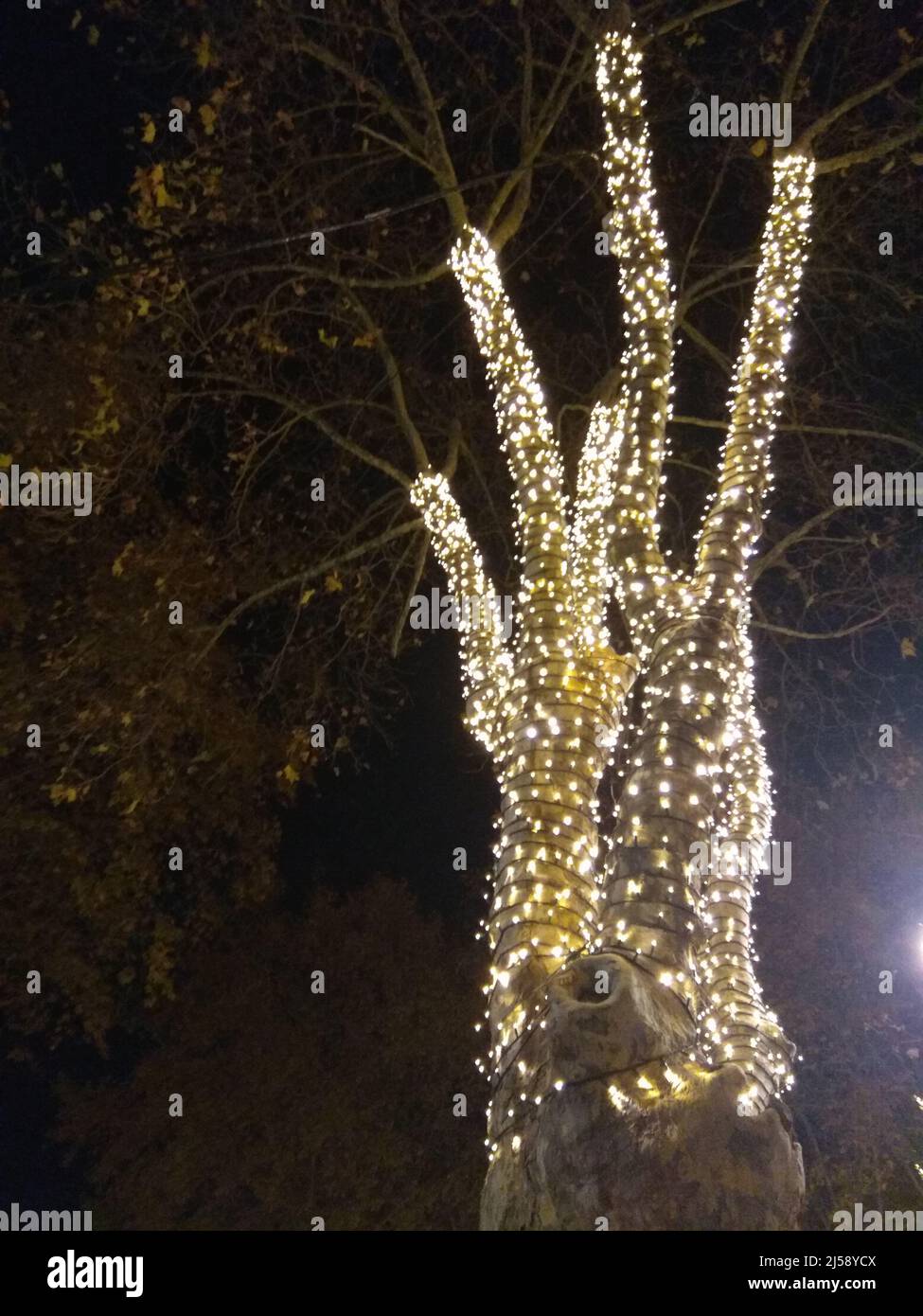 Bilbao, Christmas night pictures of the Biscayan city. Spain Stock ...