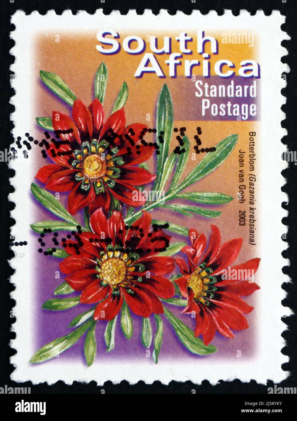 SOUTH AFRICA - CIRCA 2003: a stamp printed in South Africa shows ...