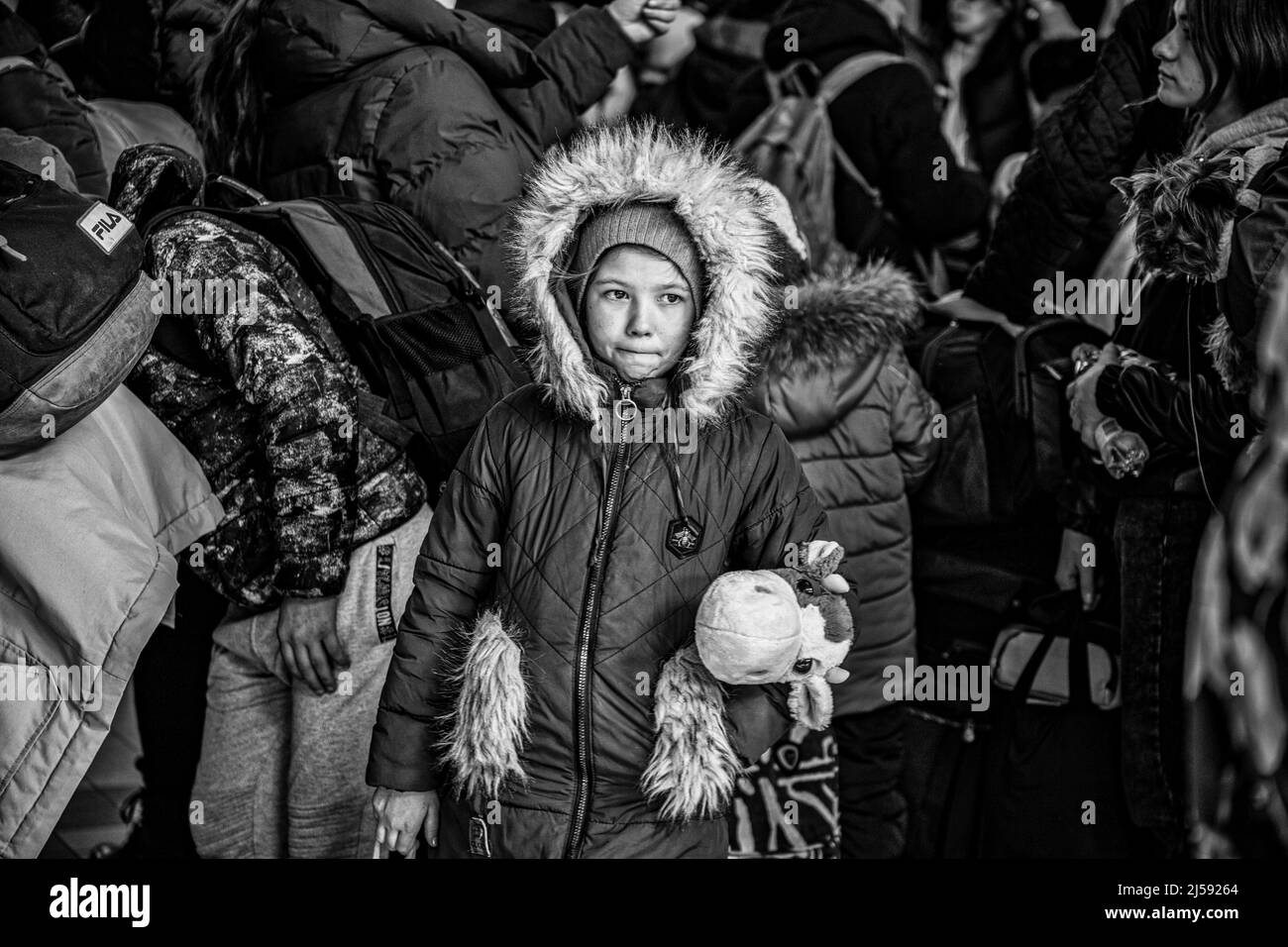 Searching refugee Black and White Stock Photos & Images - Alamy