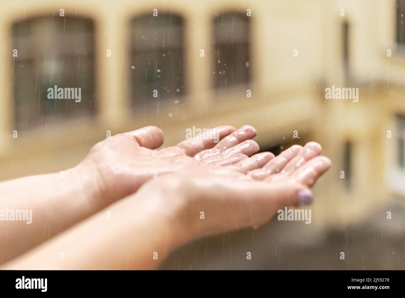 Women's hands in the rain, raindrops fall into their hands, catch Stock ...