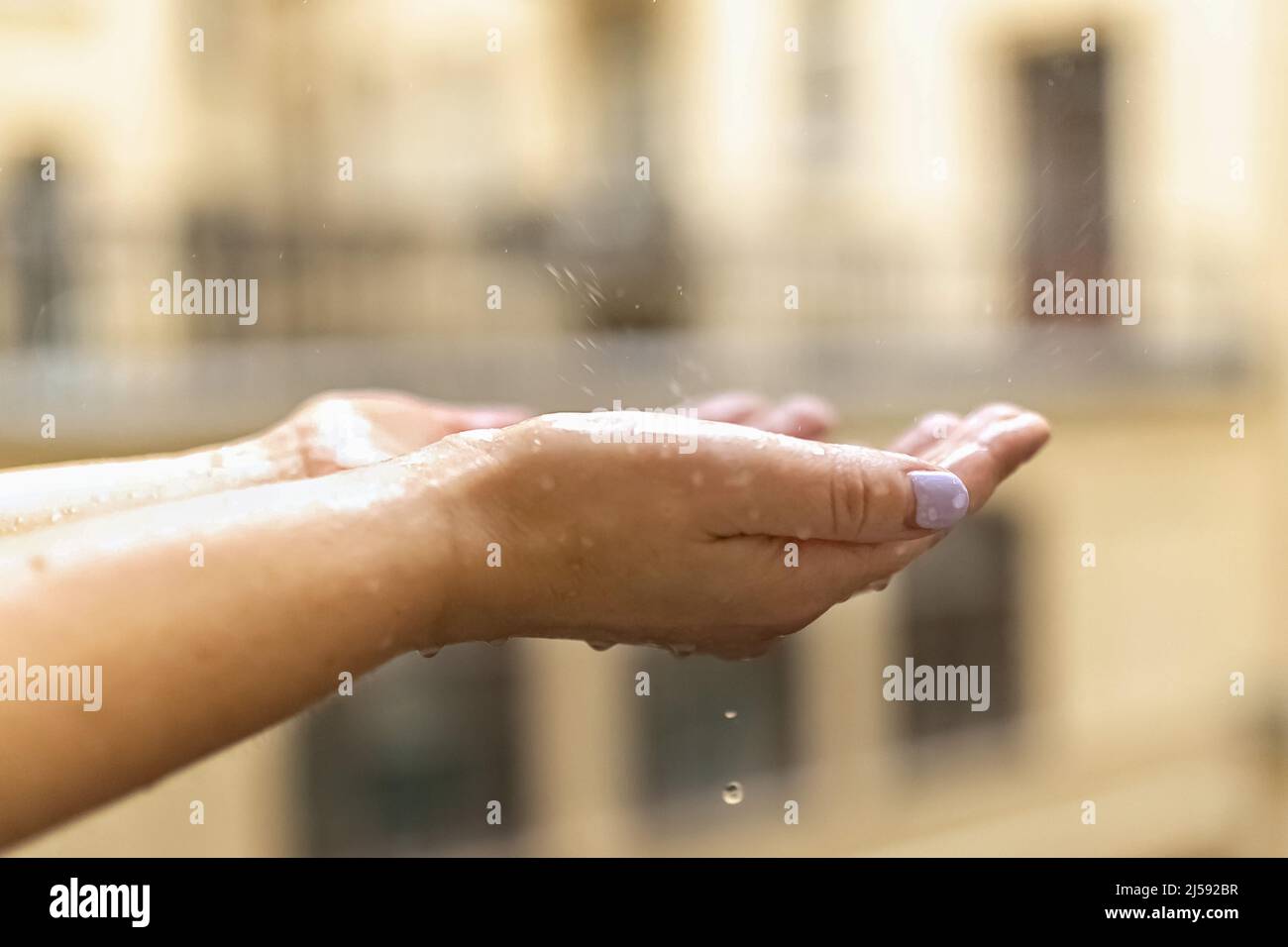 Women's hands in the rain, raindrops fall into their hands, catch Stock ...