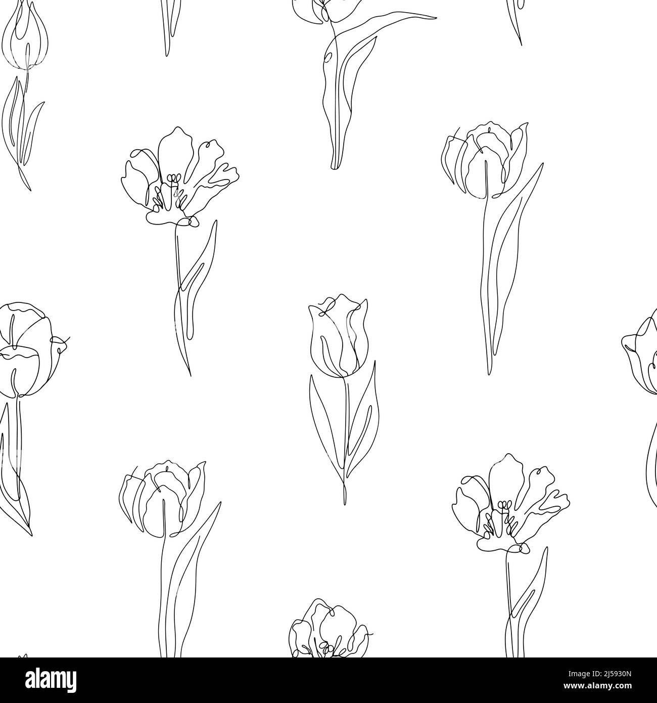 Monochrome seamless pattern with single line tulip flowers drawings ...