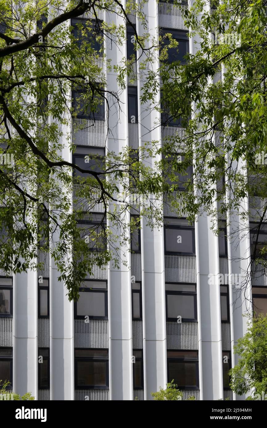 White building with green tree brunchs in front Stock Photo - Alamy