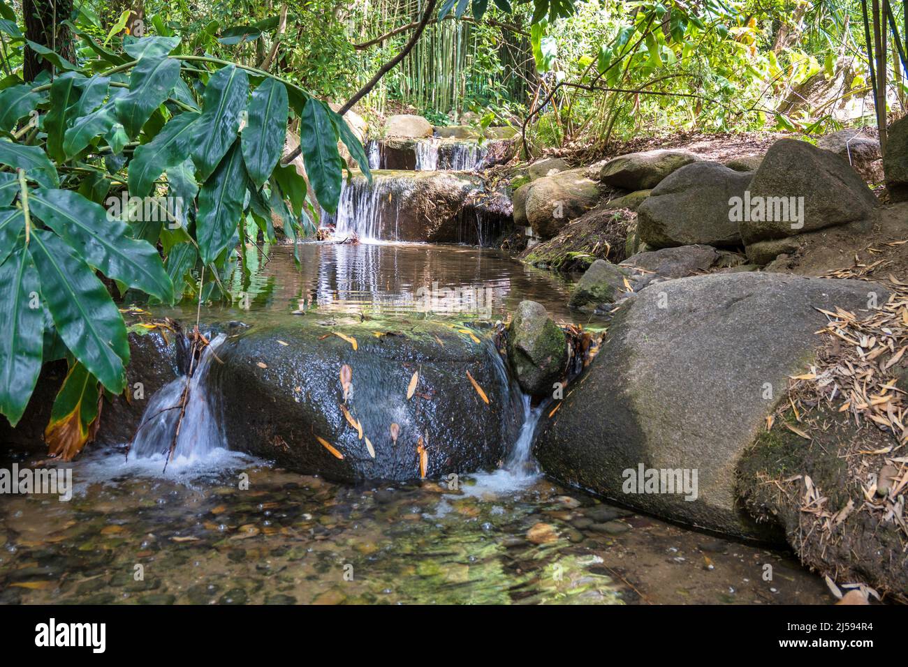 Waterfalls in a garden hi-res stock photography and images - Alamy