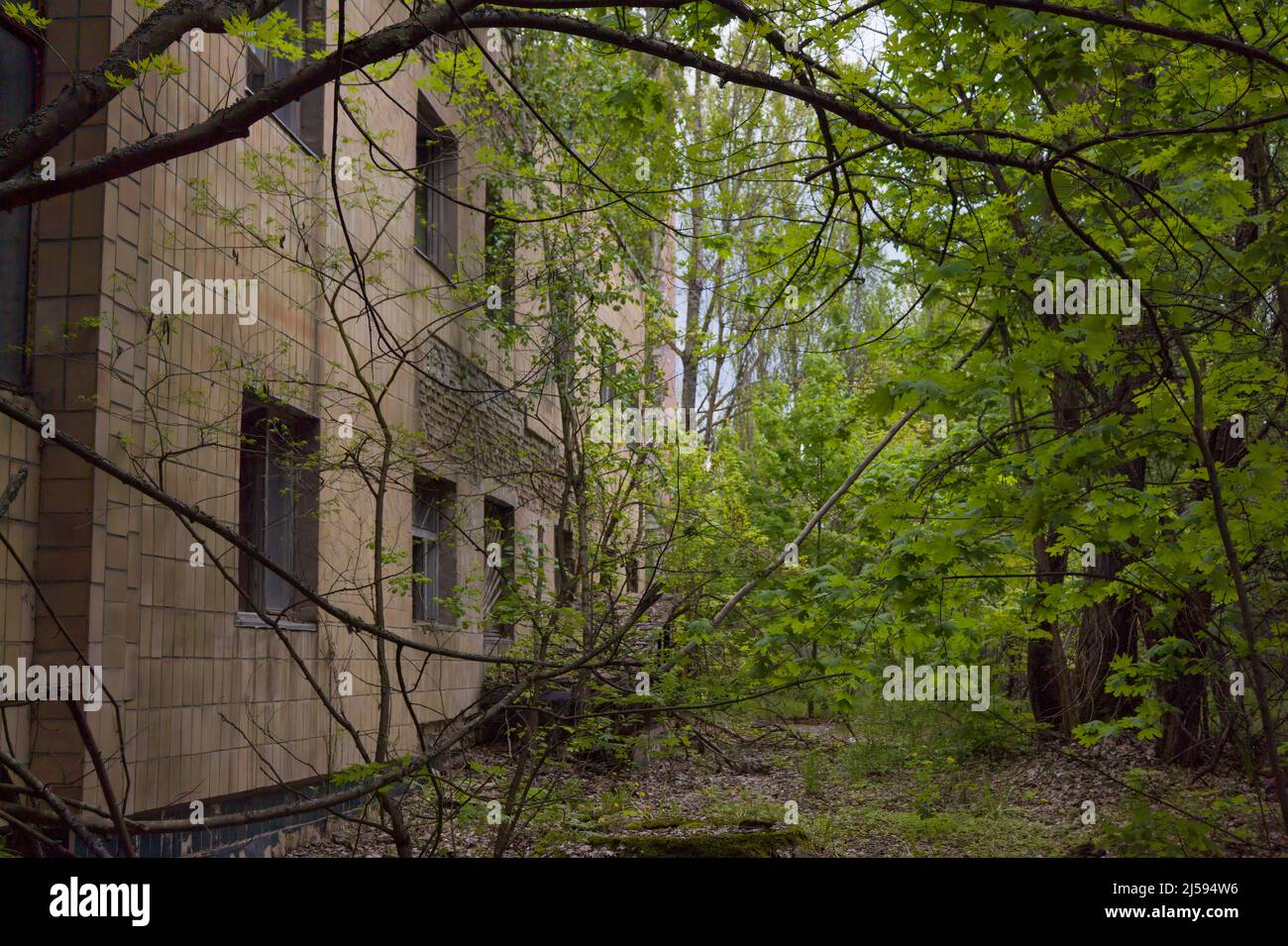 Houses in Chernobyl town in the Ukraine 2019 Stock Photo - Alamy