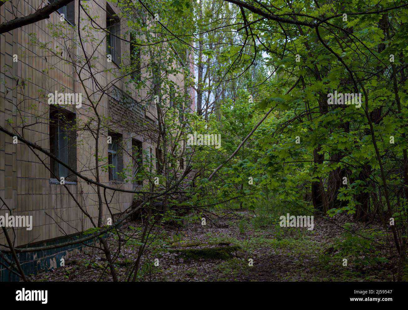 Houses in Chernobyl town in the Ukraine 2019 Stock Photo - Alamy