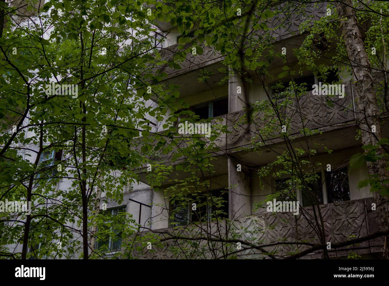 Houses in Chernobyl town in the Ukraine 2019 Stock Photo - Alamy