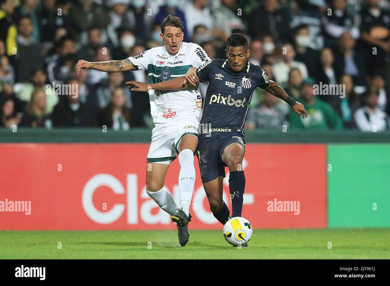 Guilherme biro hi-res stock photography and images - Alamy