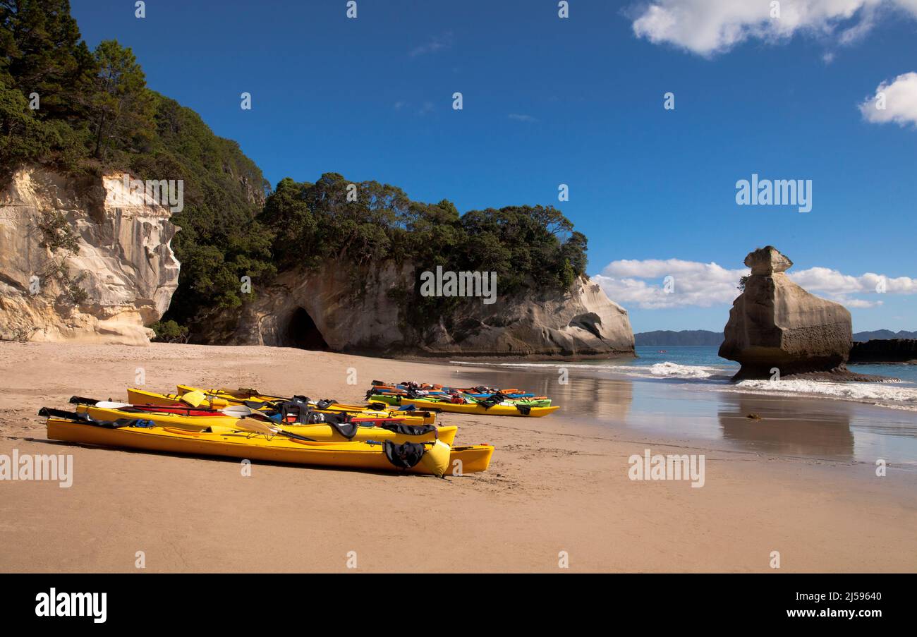 Coramandel new zealand hi-res stock photography and images - Alamy