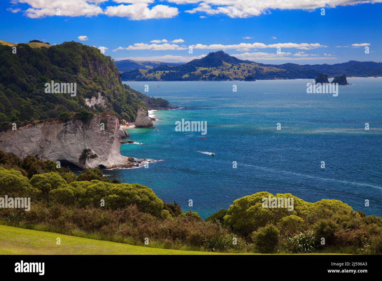 Looking out at Mercury Bay on the eastern coast of the Coromandel ...