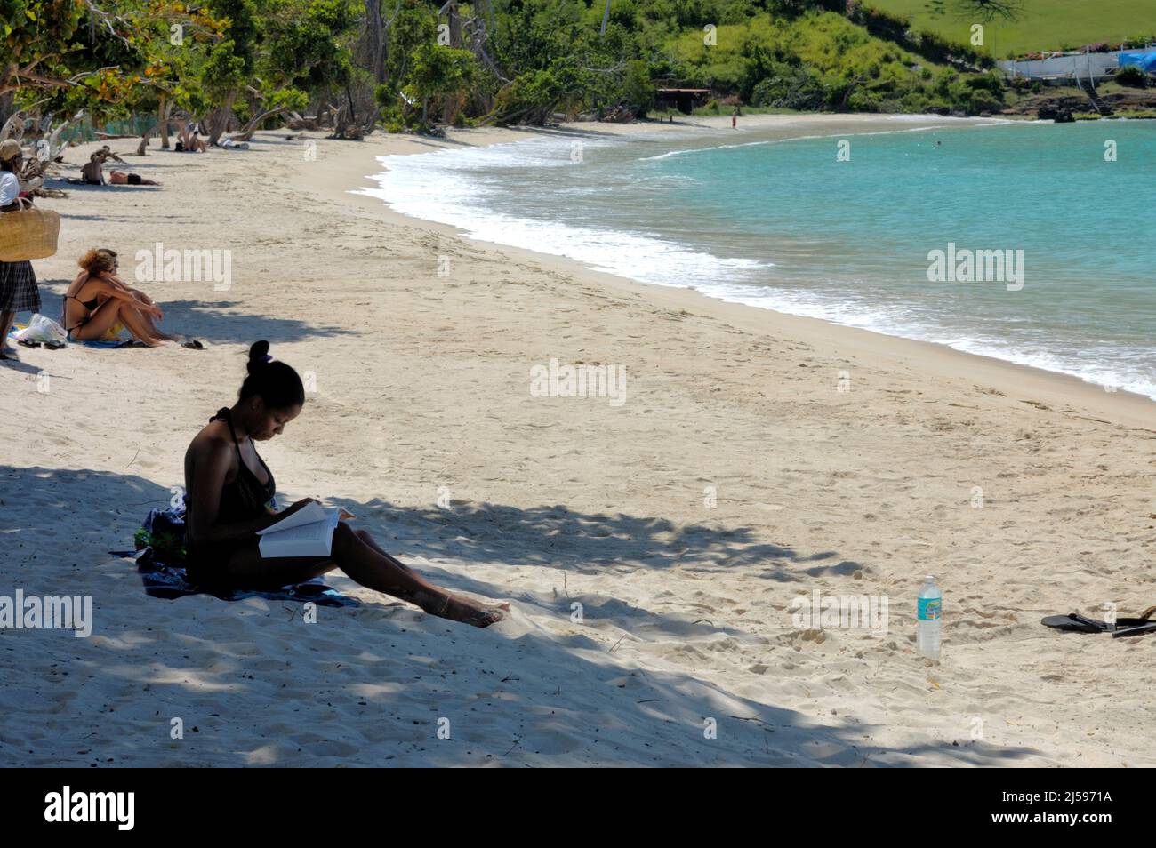 Tree lined sandy beach with tourists relaxing by the calm sea of Caribbean island of Grenada ...