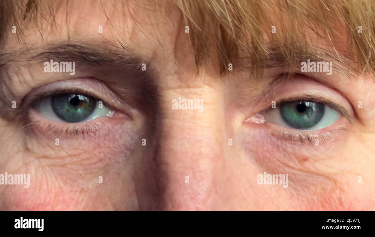 Extreme Close Up Shot Photography