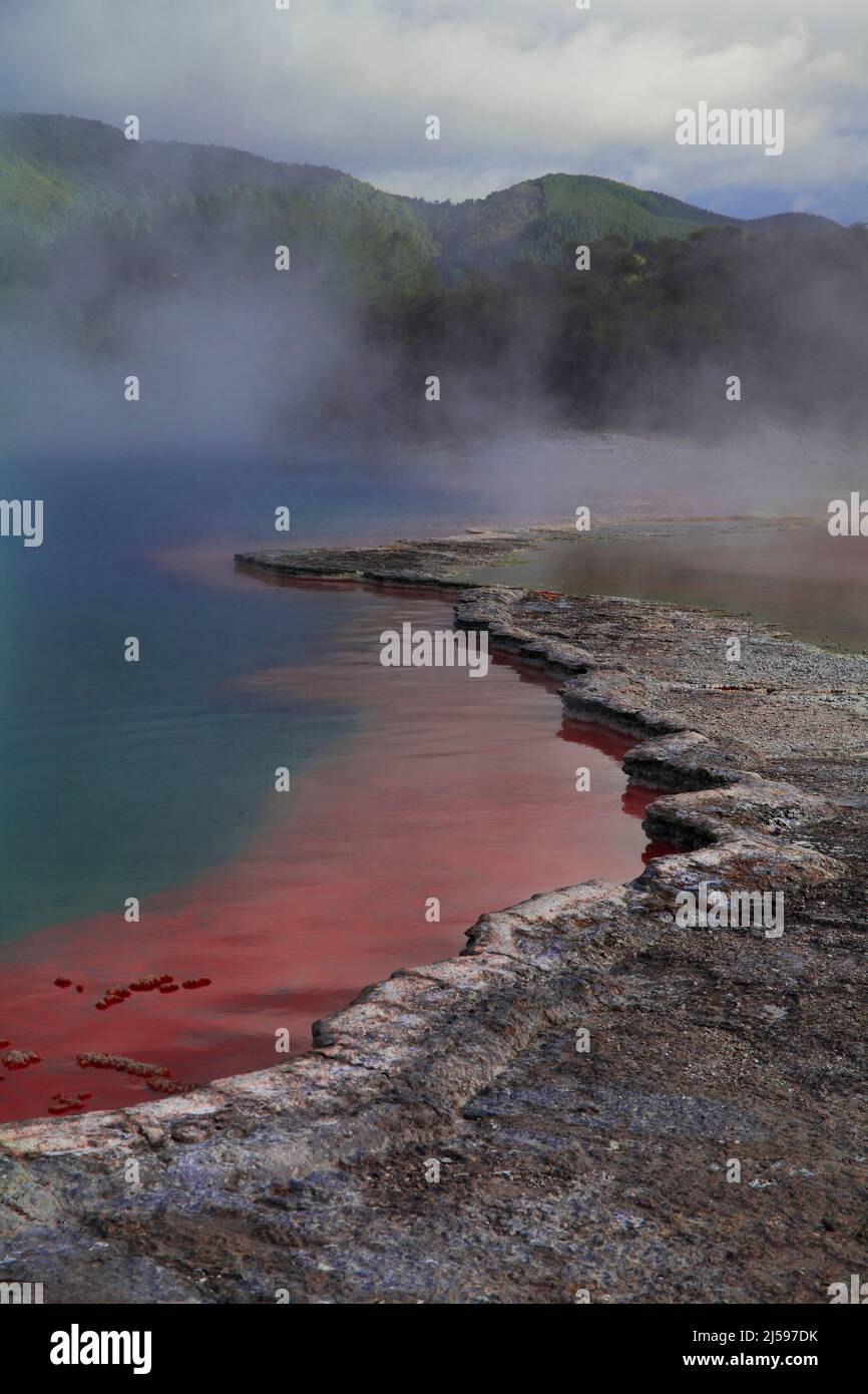 Vivid colors of the Champagne Pool, a hot spring Waiotapu geothermal ...