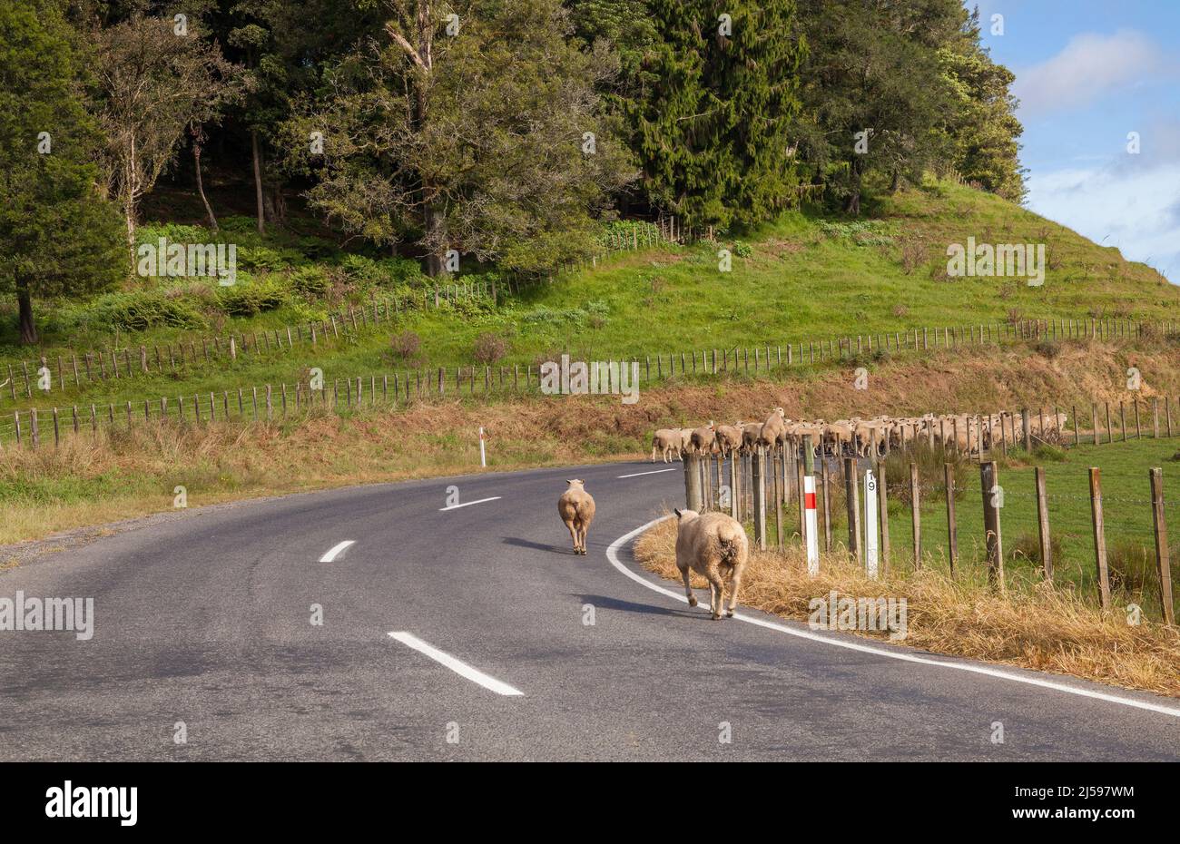 Rural asphalt road curving hi-res stock photography and images - Alamy