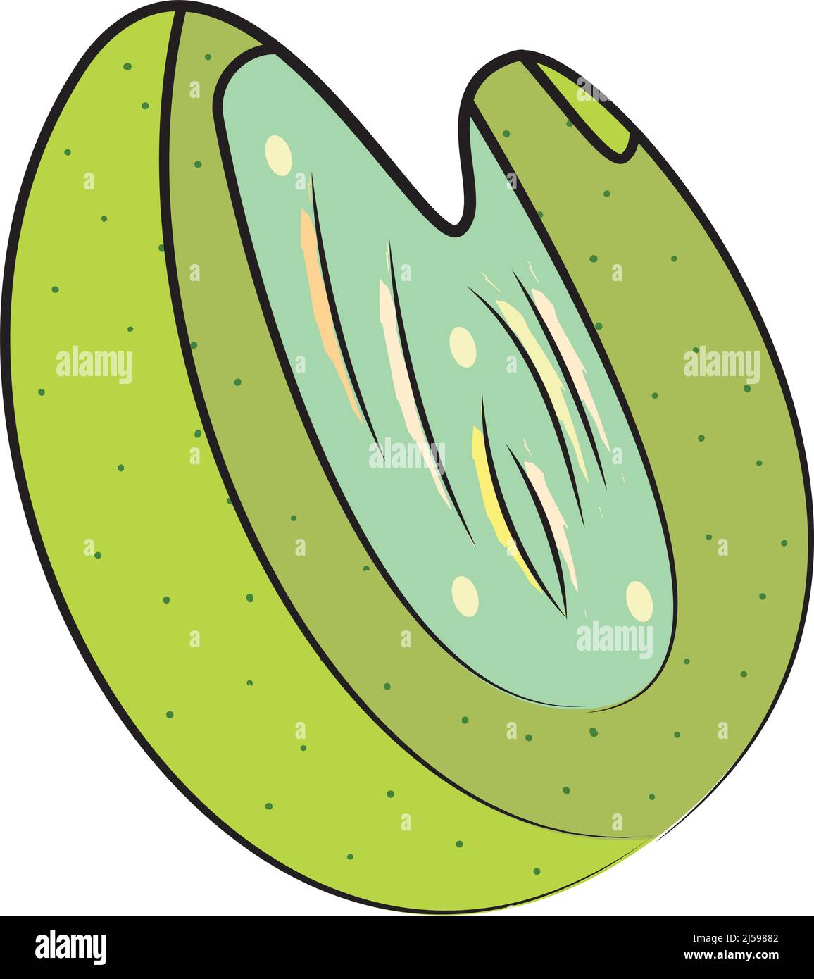 Isolated sketch of a kiwi slice Vector Stock Vector Image & Art - Alamy