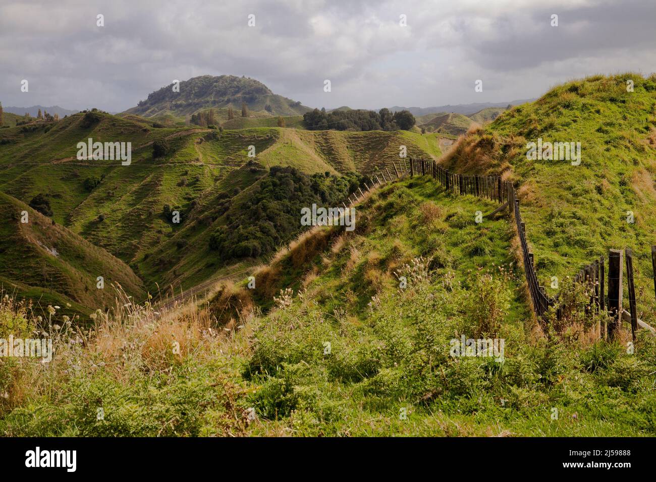 Rugged, lush landscape along New Zealand's Highway 43, also known as ...