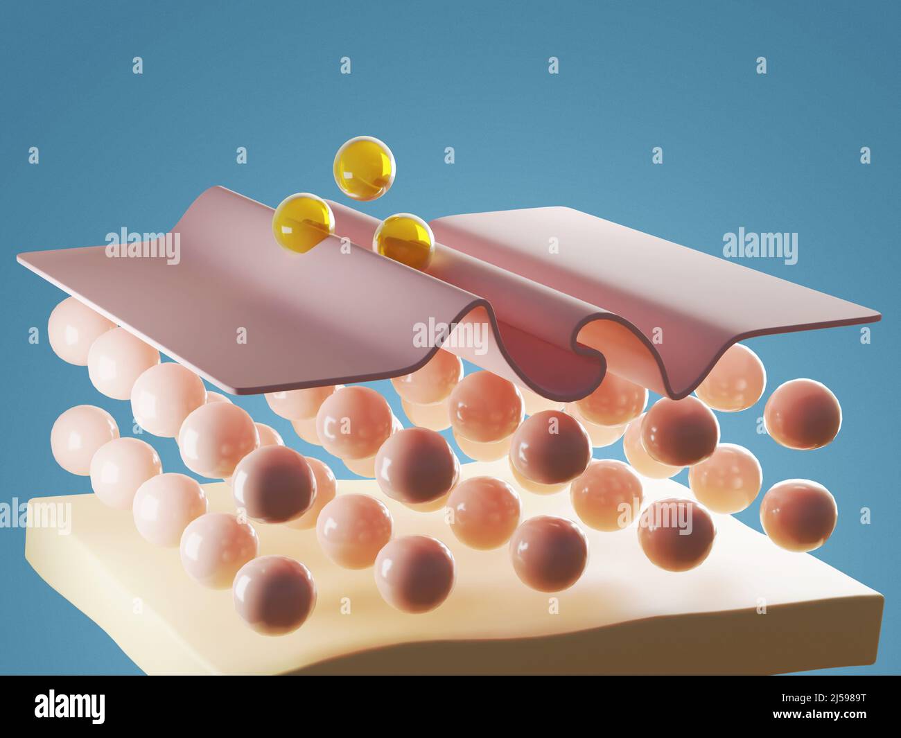 Sources of collagen hi-res stock photography and images - Alamy