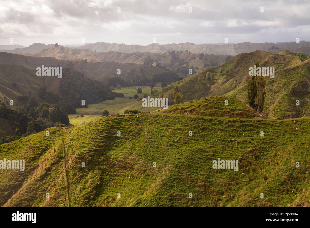 Rugged, lush landscape along New Zealand's Highway 43, also known as ...