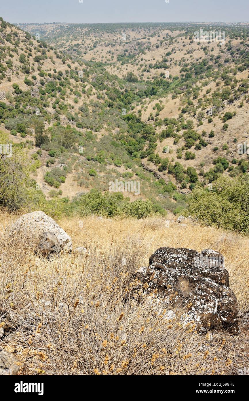 Stream and pond Meshushim in Israel - a beautiful place in the Golan ...