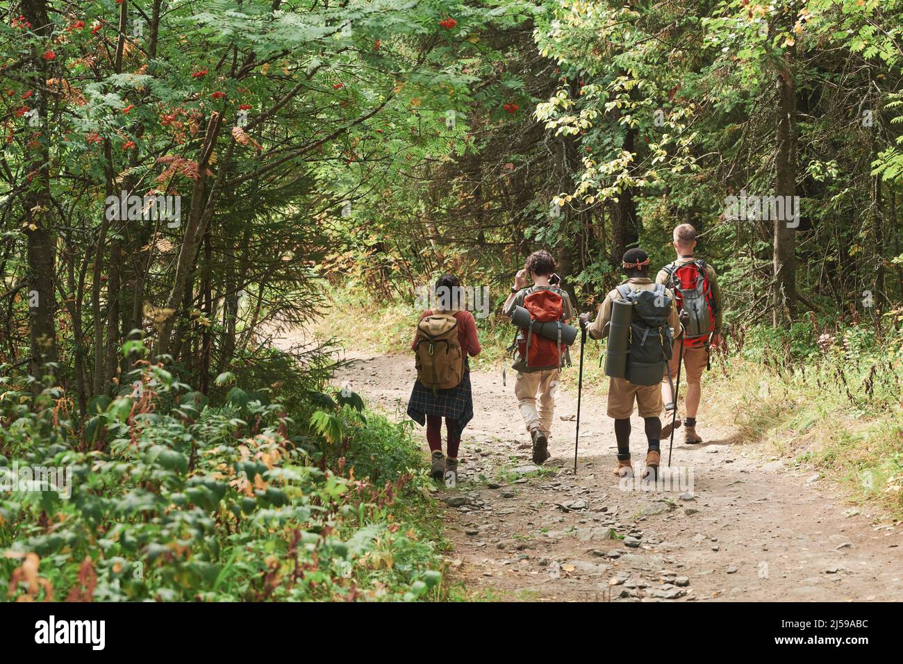 Rear view of young backpackers with bags walking on forest path while ...