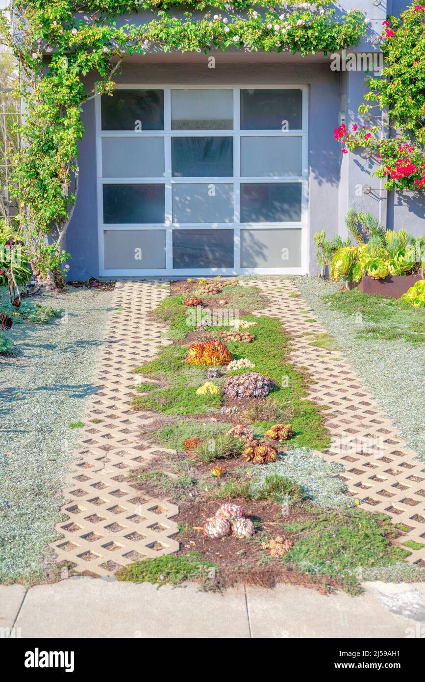 Driveway with succulents and grass in between at San Francisco ...