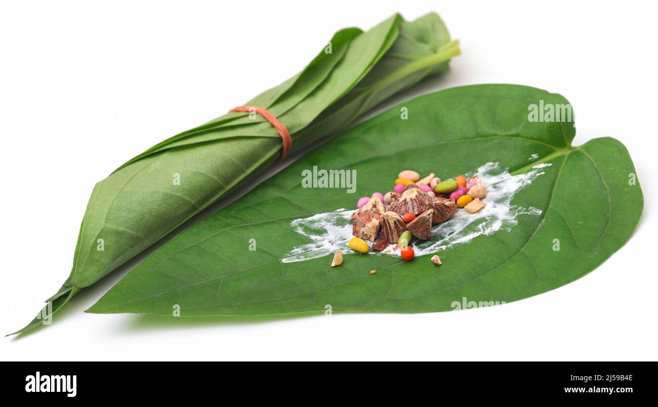 Betel nut leaves Cut Out Stock Images & Pictures - Alamy