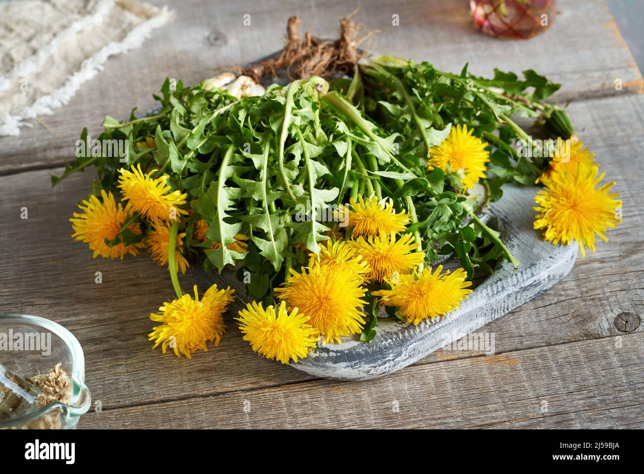 Fresh dandelion plant and roots hi-res stock photography and images - Alamy