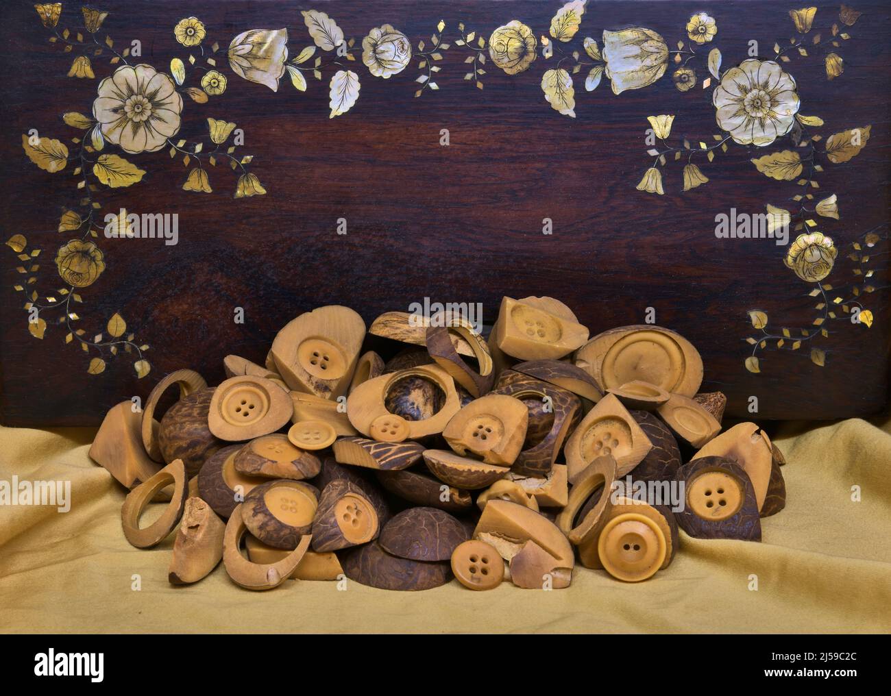 Vegetable ivory or tagua ivory nut. Vegetable ivory is named for its ...