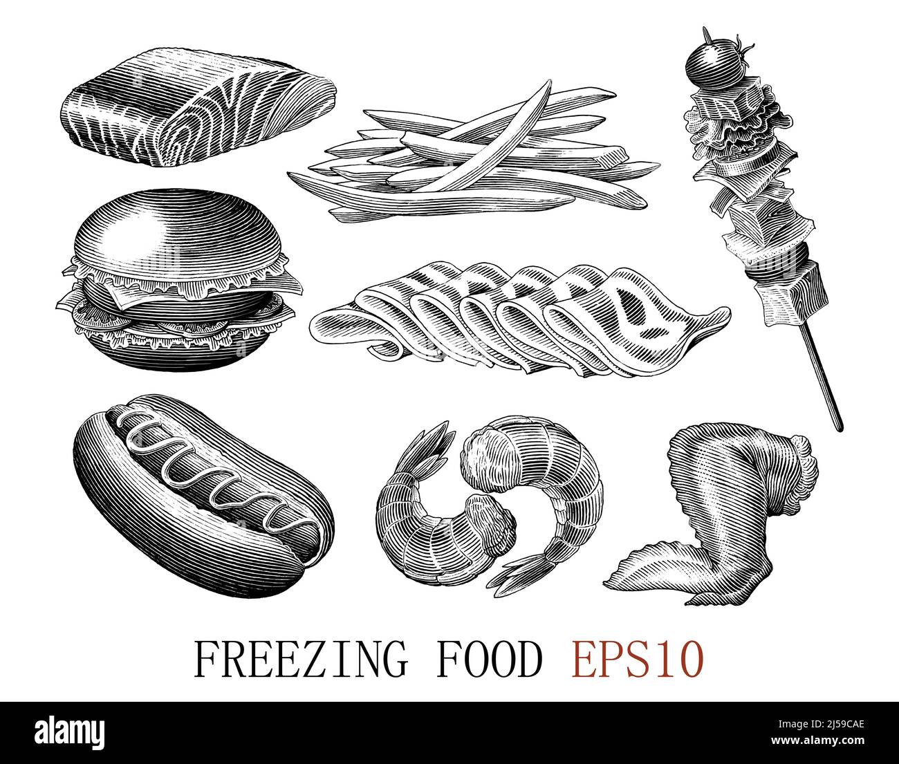 Freezing Food hand drawing vintage engraving style Stock Vector Image ...
