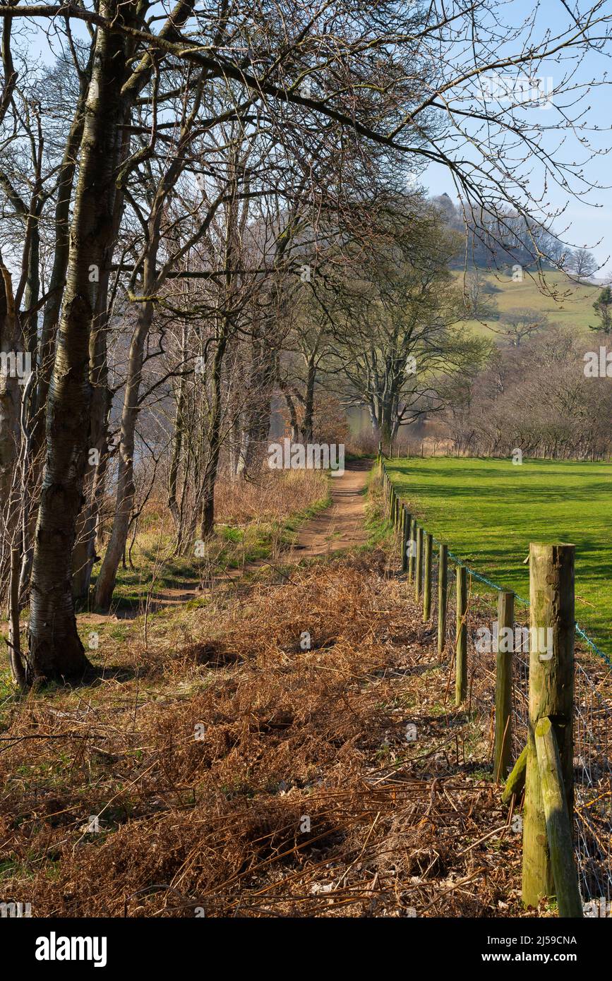 Path along grass field with wooden post and fence line Stock Photo - Alamy