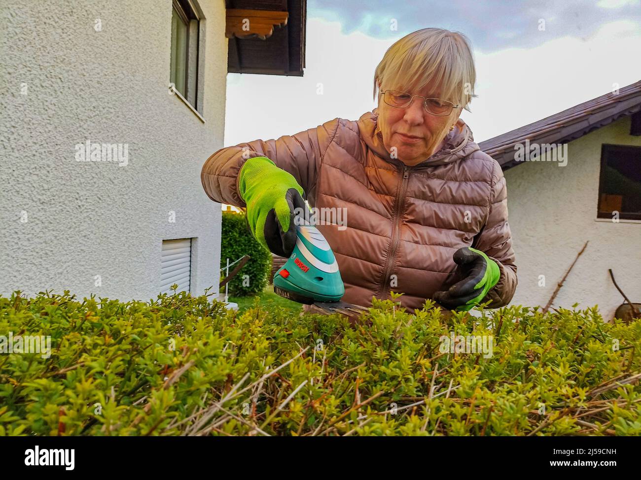 Bush trimmer bosch hi-res stock photography and images - Alamy