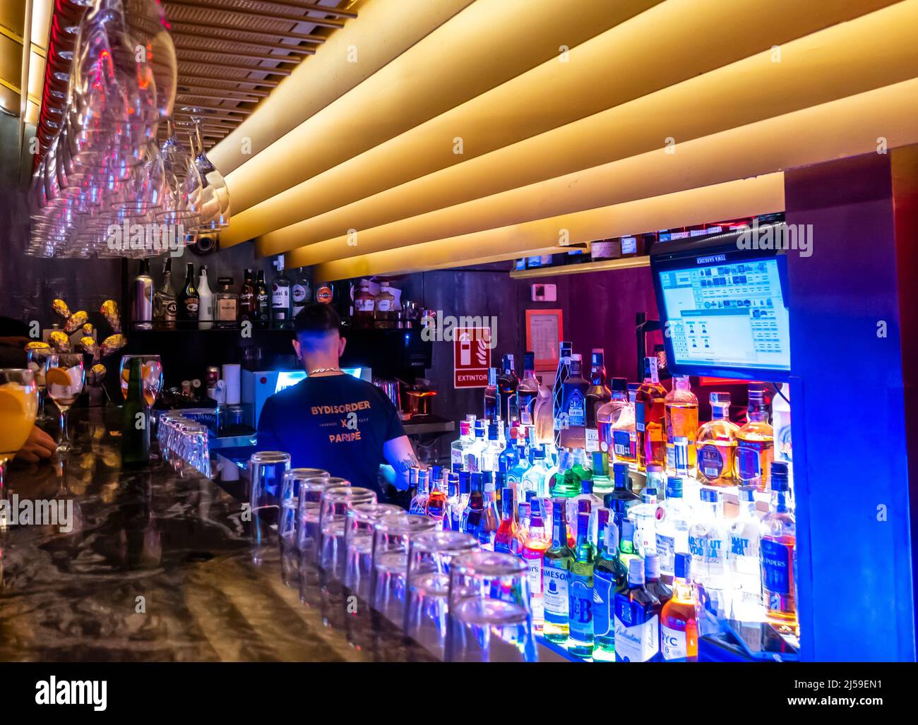 Bartender behind the bar desk at Sarao Tropical Bar - Cocktail bar in ...