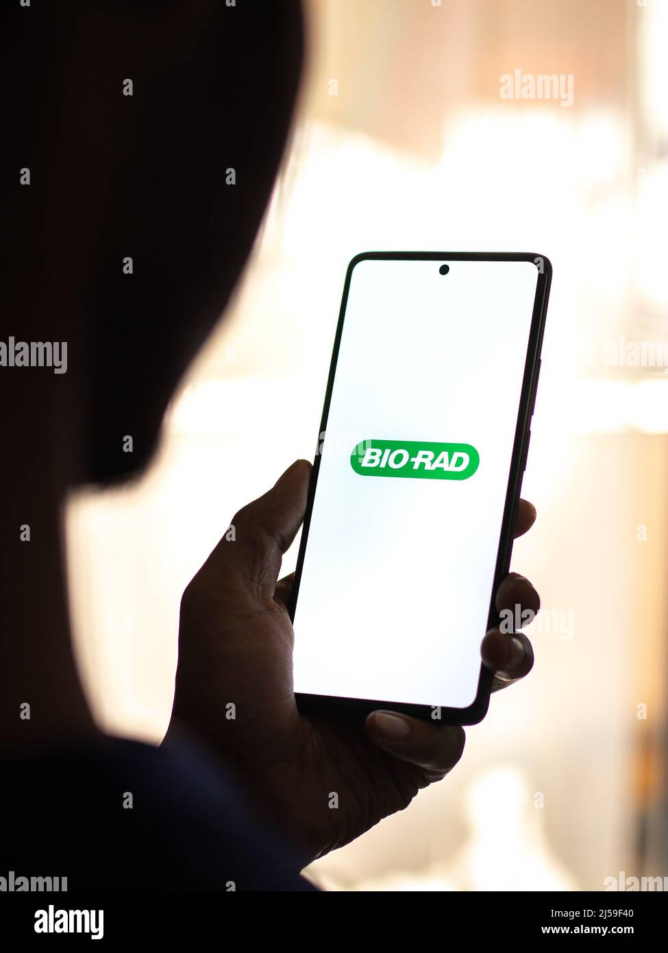 Bio rad logo hi-res stock photography and images - Alamy