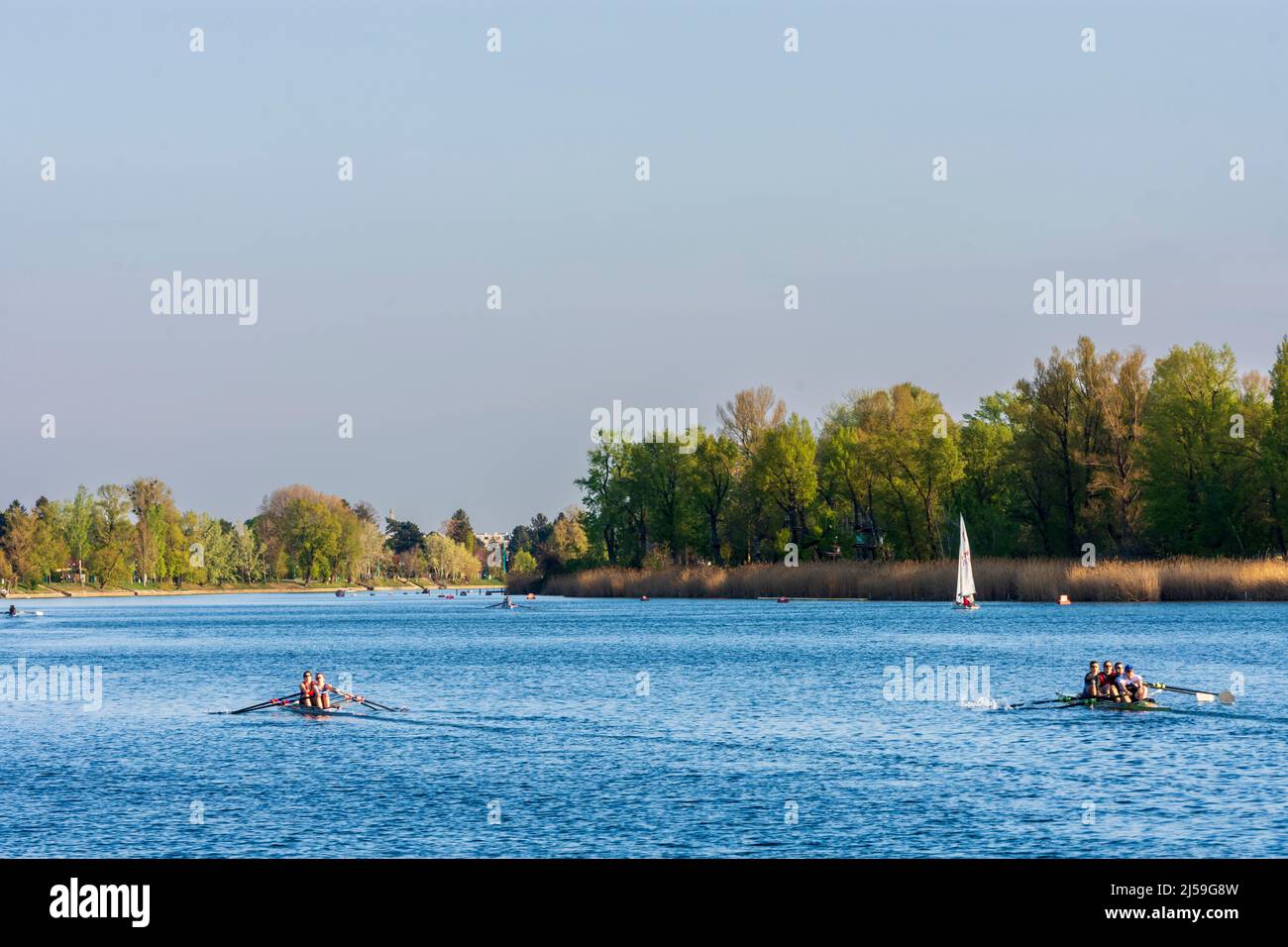 Wien, Vienna: Alte Donau (Old Danube), rowing boats in 22. Donaustadt ...