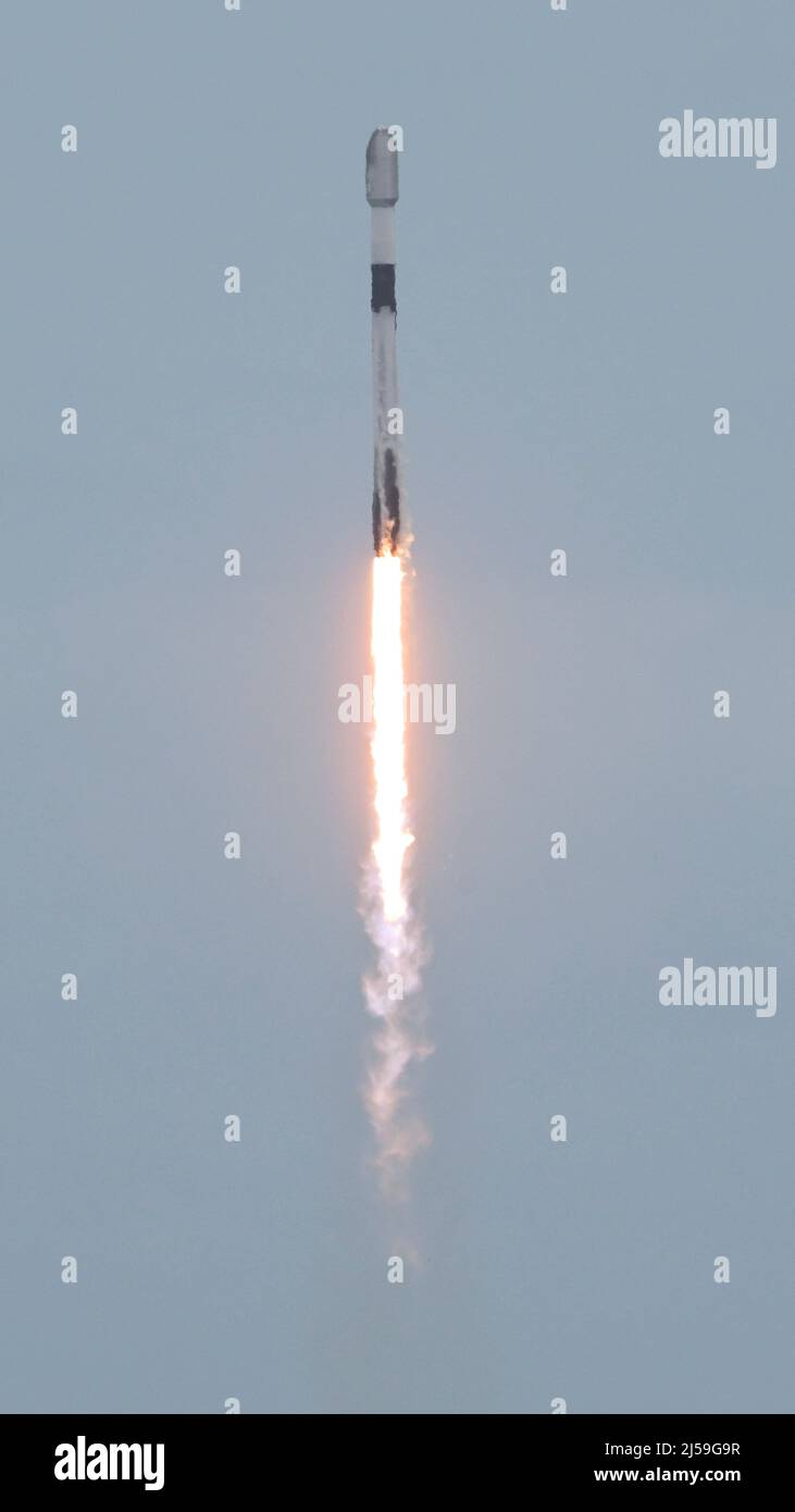 Starlink s hi-res stock photography and images - Alamy