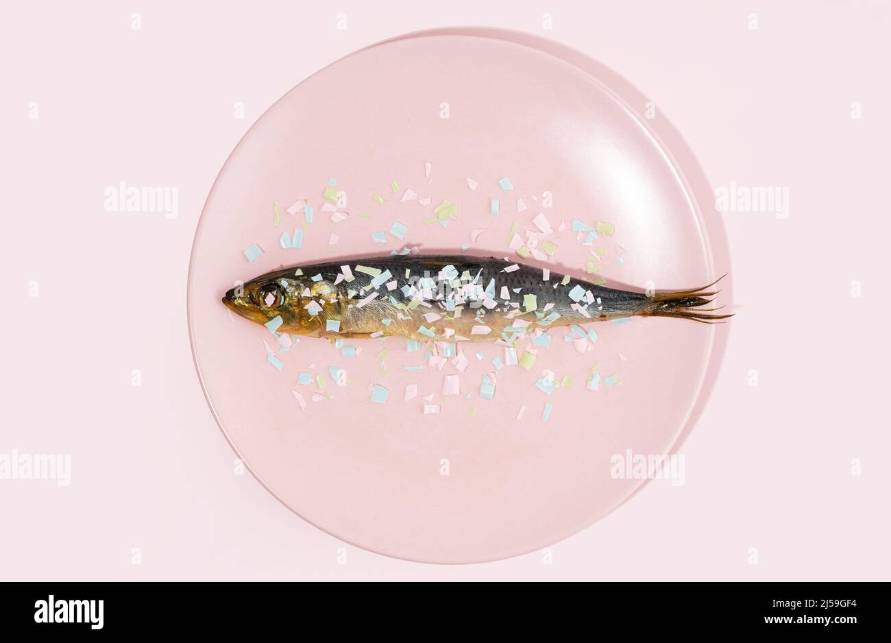 Fish covered microplastic on a pink plate. Impact of micro plastic on ...