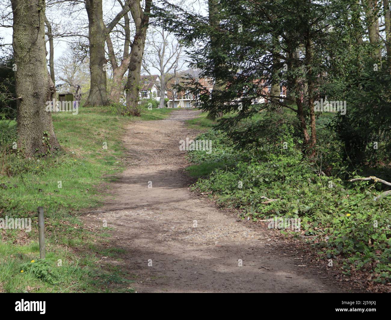 Leading through woods hi-res stock photography and images - Alamy