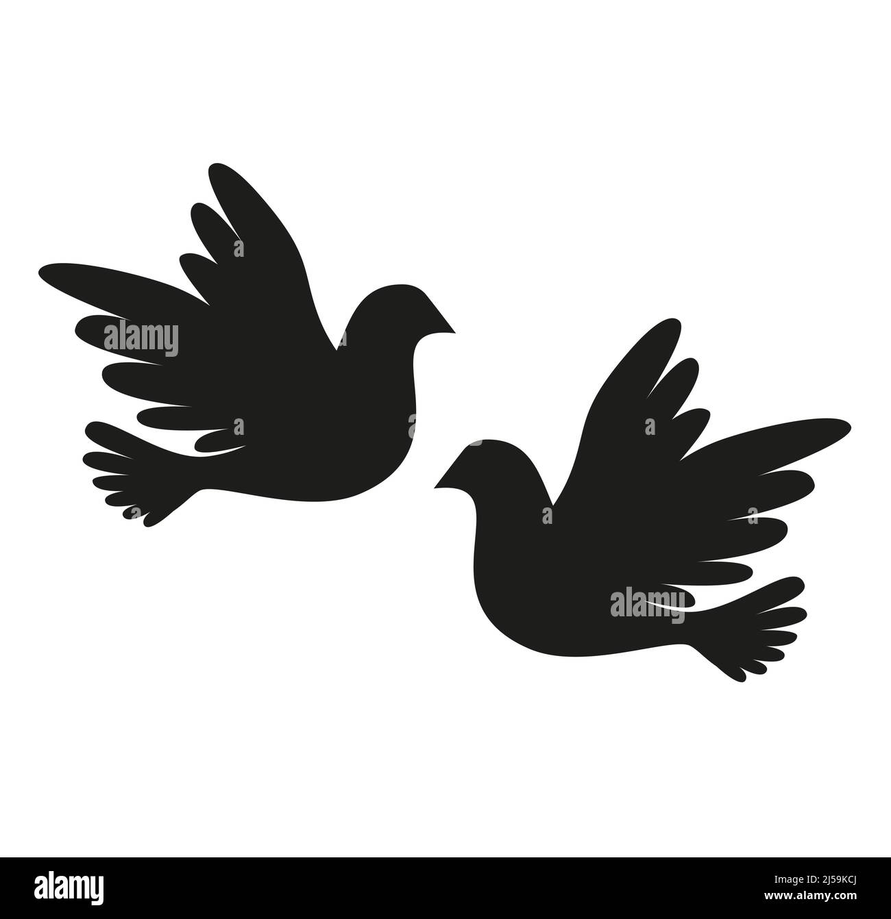 A flying dove. Silhouette of the bird. Doves on white background ...