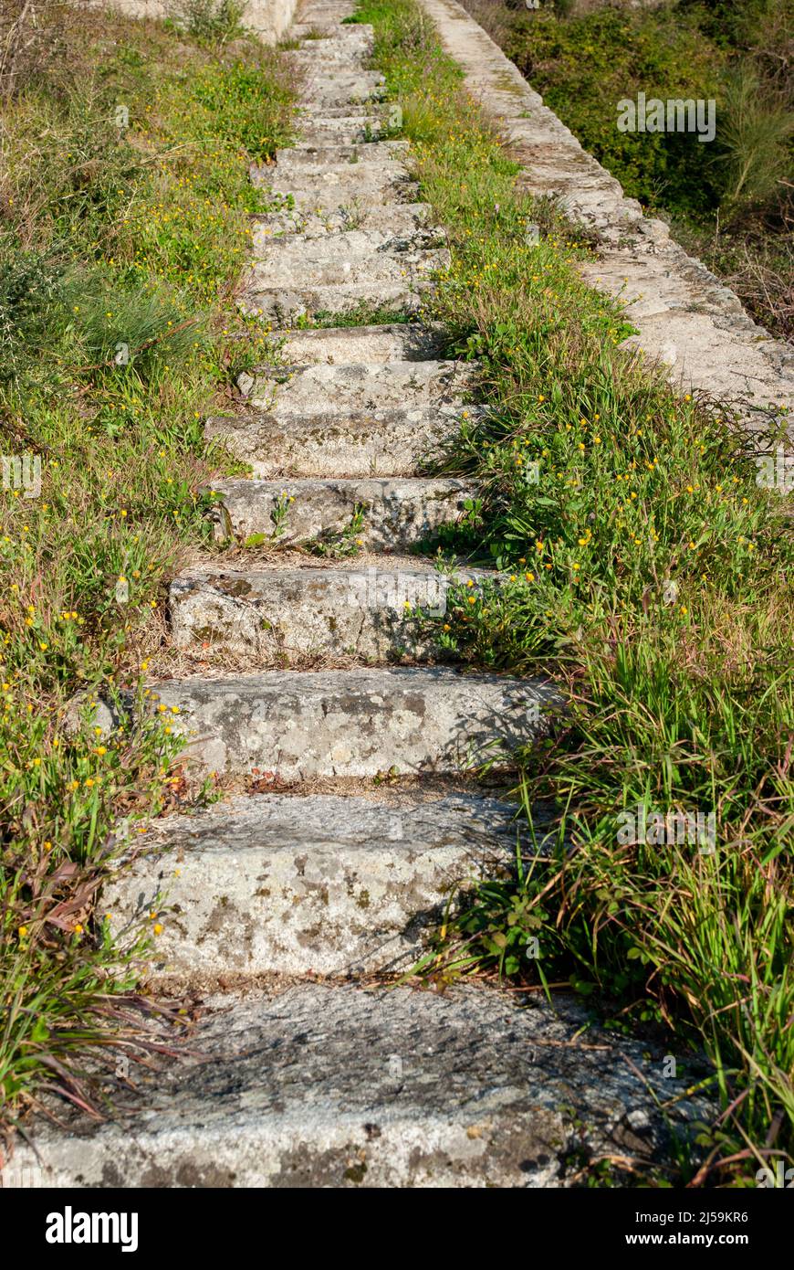 Stone staircase with herbs and flowers on the sides of vertical rise ...