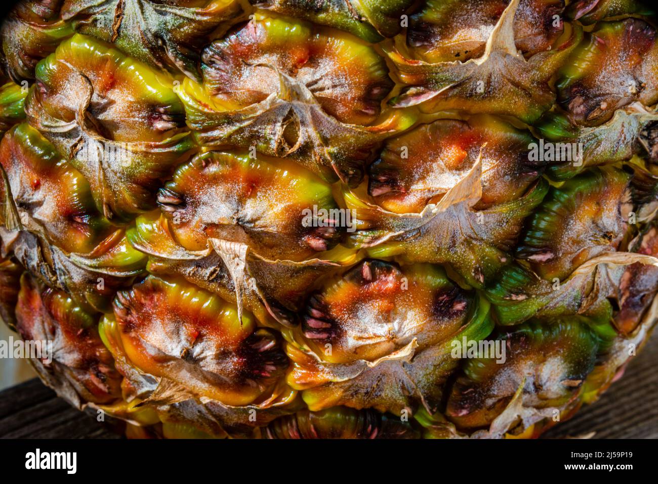 Ananas Fotografie